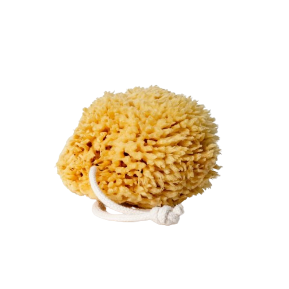 Firsthand Supply Sea Wool Sponge 12-pack