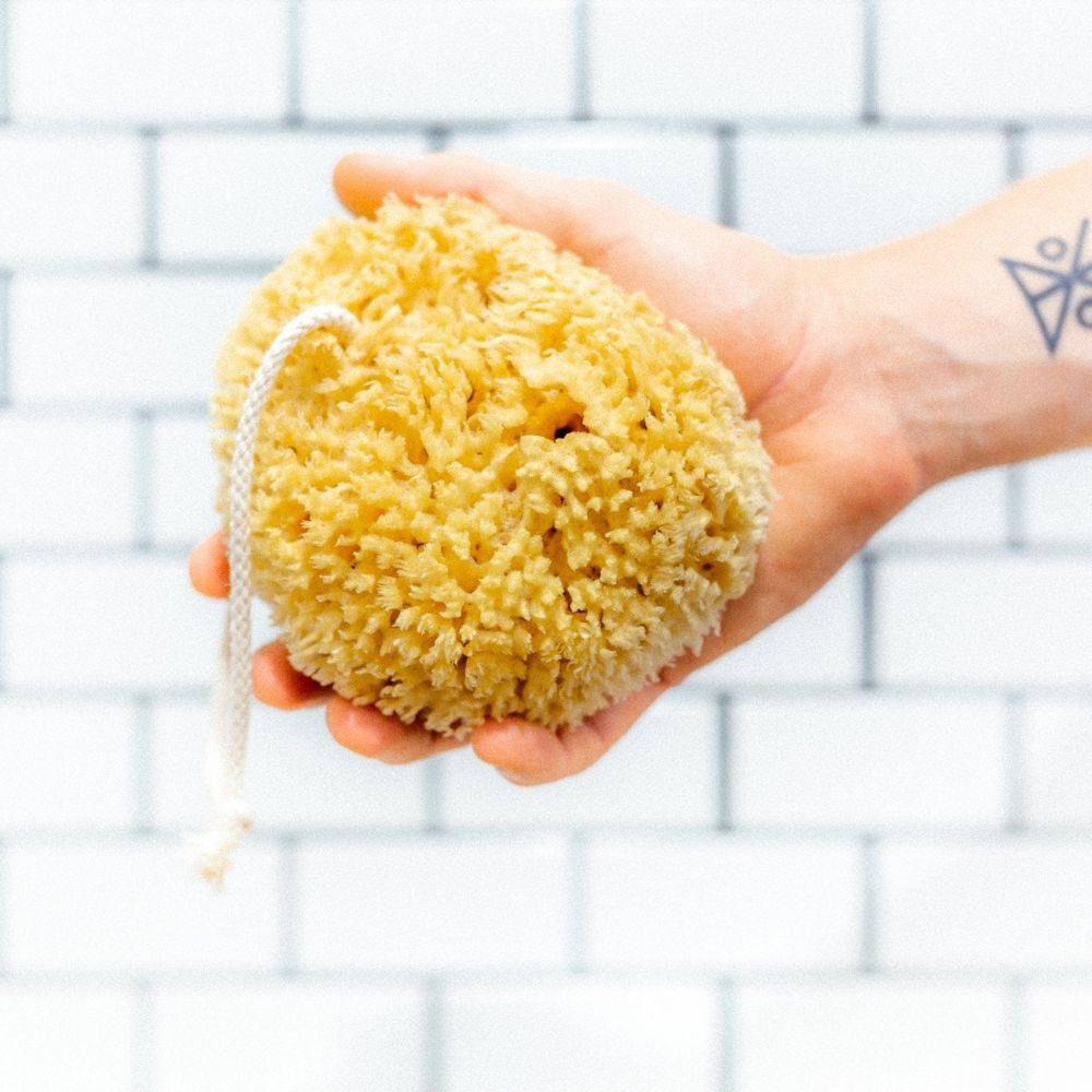 Firsthand Supply Sea Wool Sponge 12-pack
