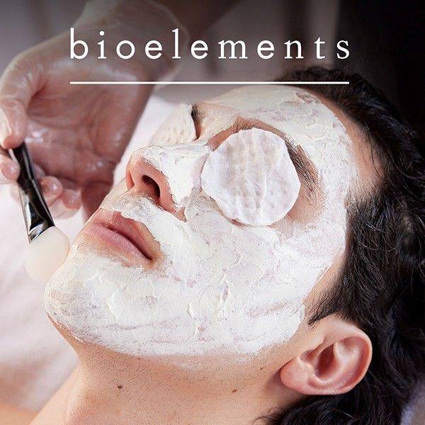Bioelements Essentials: Acne + Pore Activists - Manage & Prevent with ...