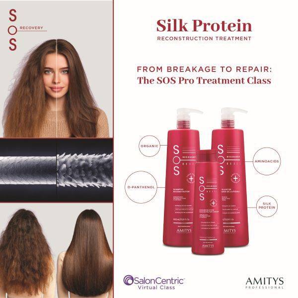Amitys From Breakage to Repair: The SOS Pro Treatment