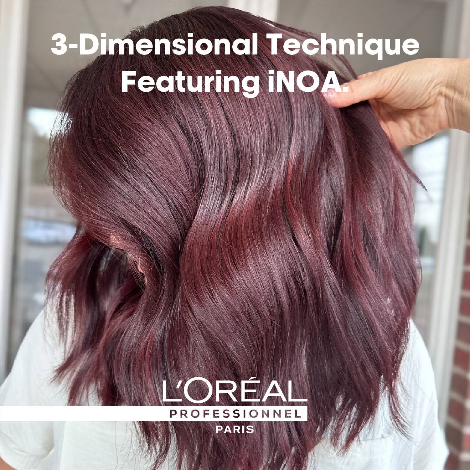 LOreal Professionnel 3-Dimensional Technique: featuring iNOA