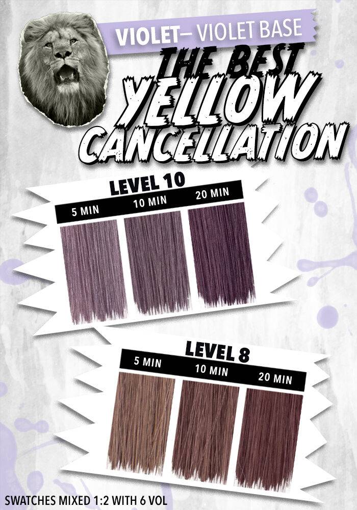 Pulp Riot High Speed Toner 3 oz.