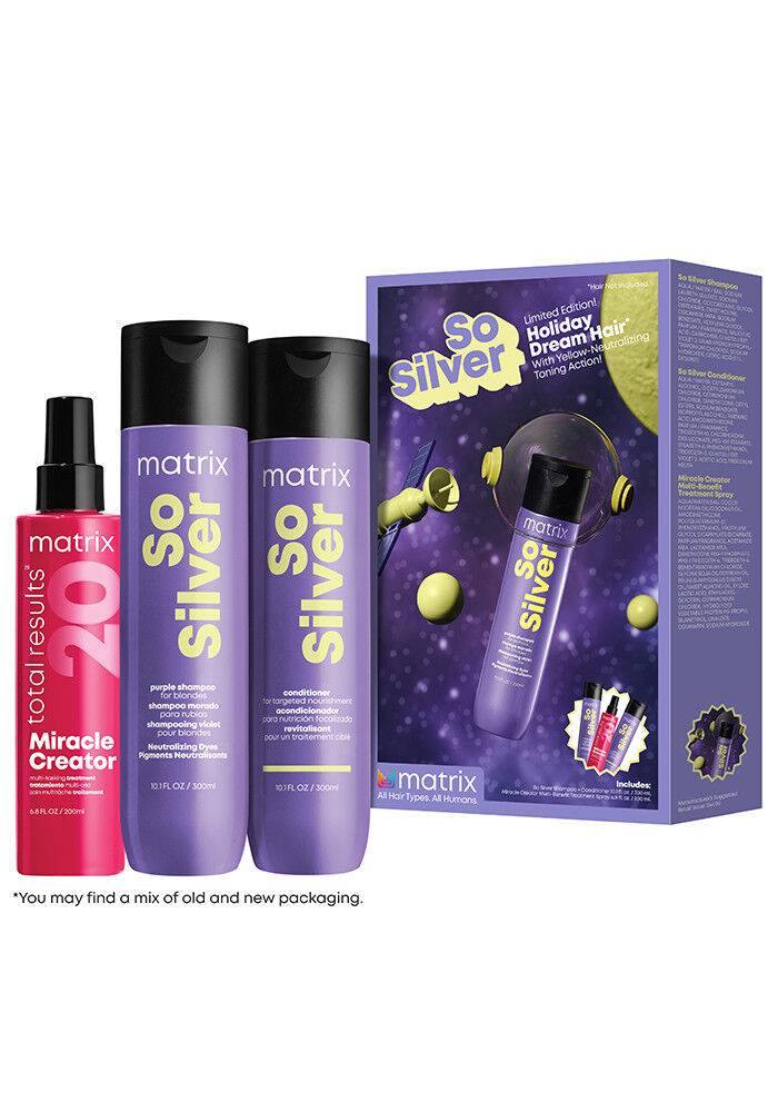 Matrix So Silver Holiday Dream Hair Fantasy Kit