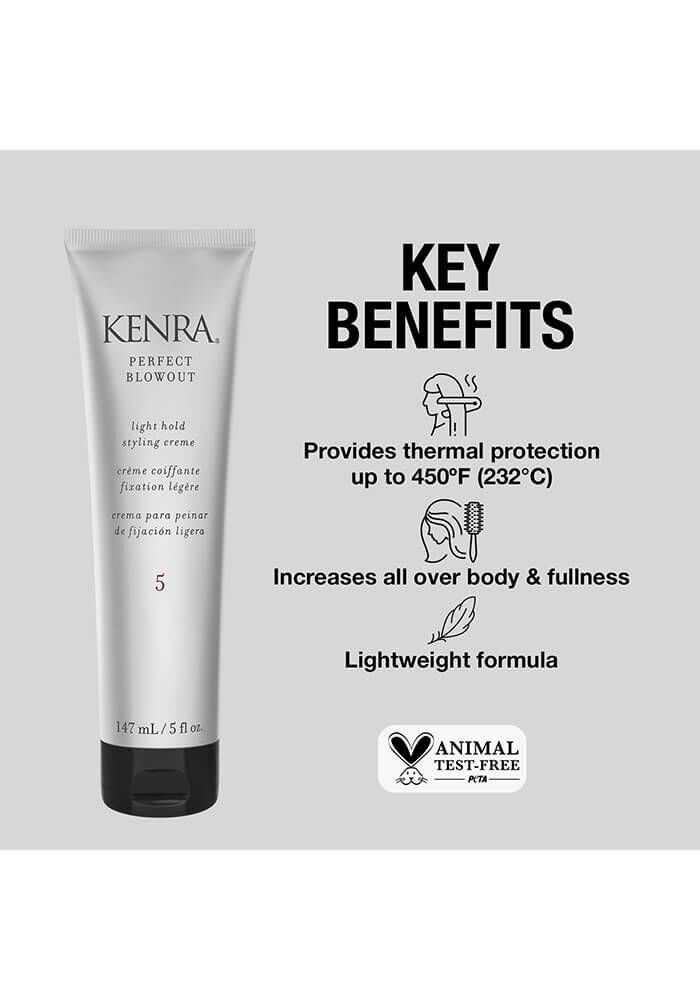 Kenra Professional Kenra Perfect Blowout 5