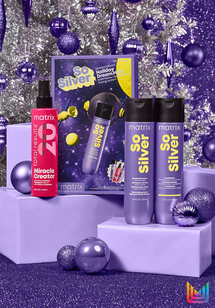 Matrix So Silver Holiday Dream Hair Fantasy Kit