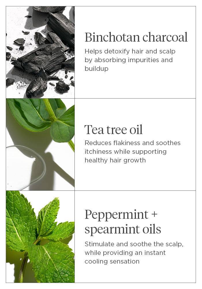 Briogeo Scalp Revival Charcoal + Tea Tree Cooling Hydration Scalp Mask