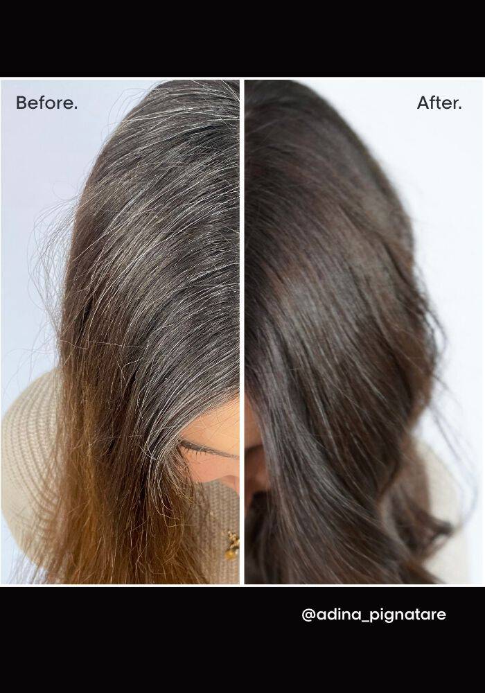 L'Oréal Professionnel iNOA + Framar Stylist Kit