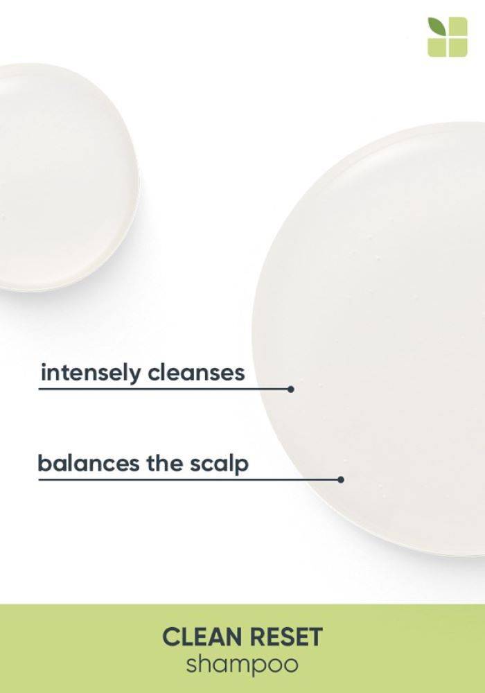 Biolage Clean Reset Normalizing Shampoo
